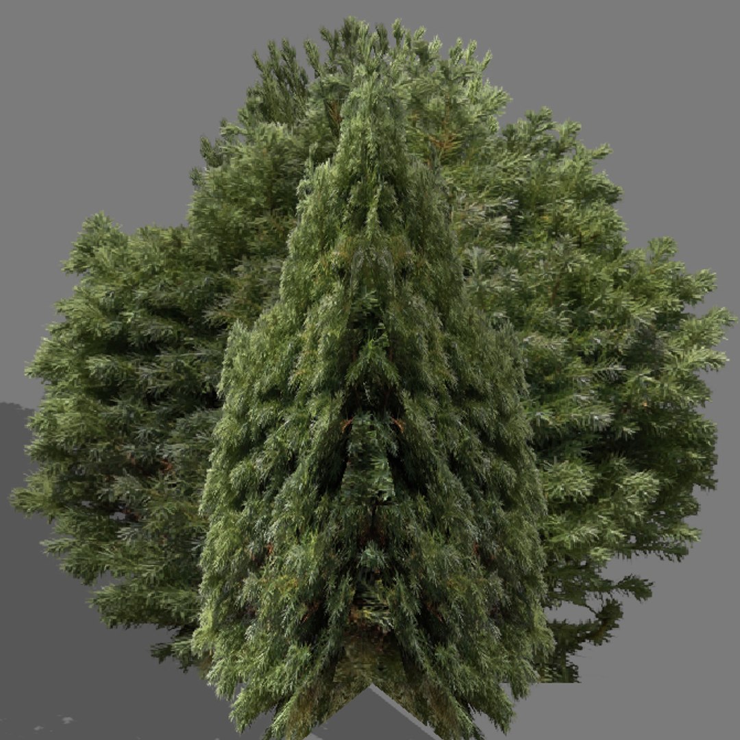 Bushes Polygons 3d 3ds