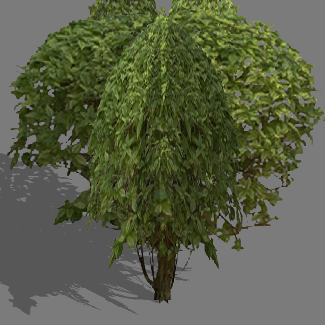 Bushes Polygons 3d 3ds