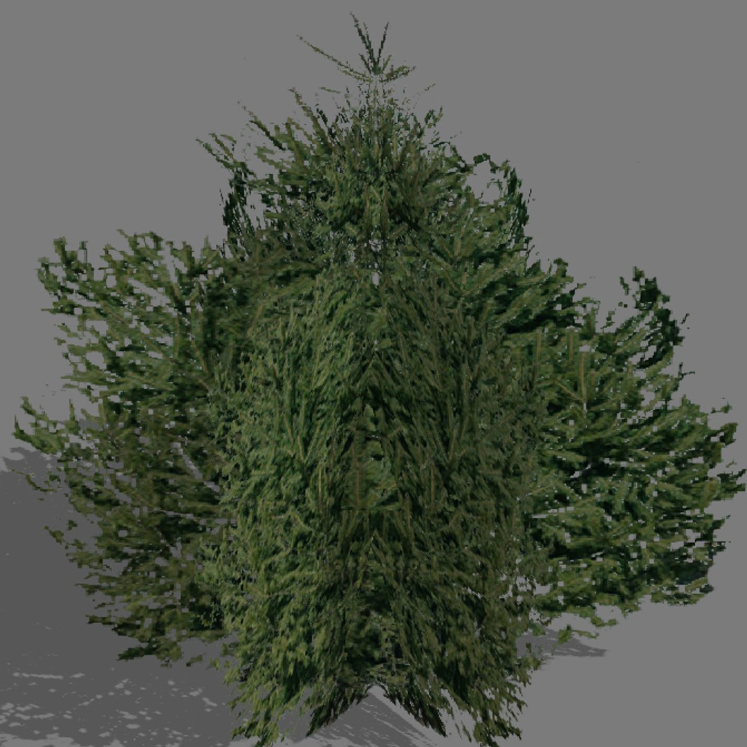Bushes Polygons 3d 3ds