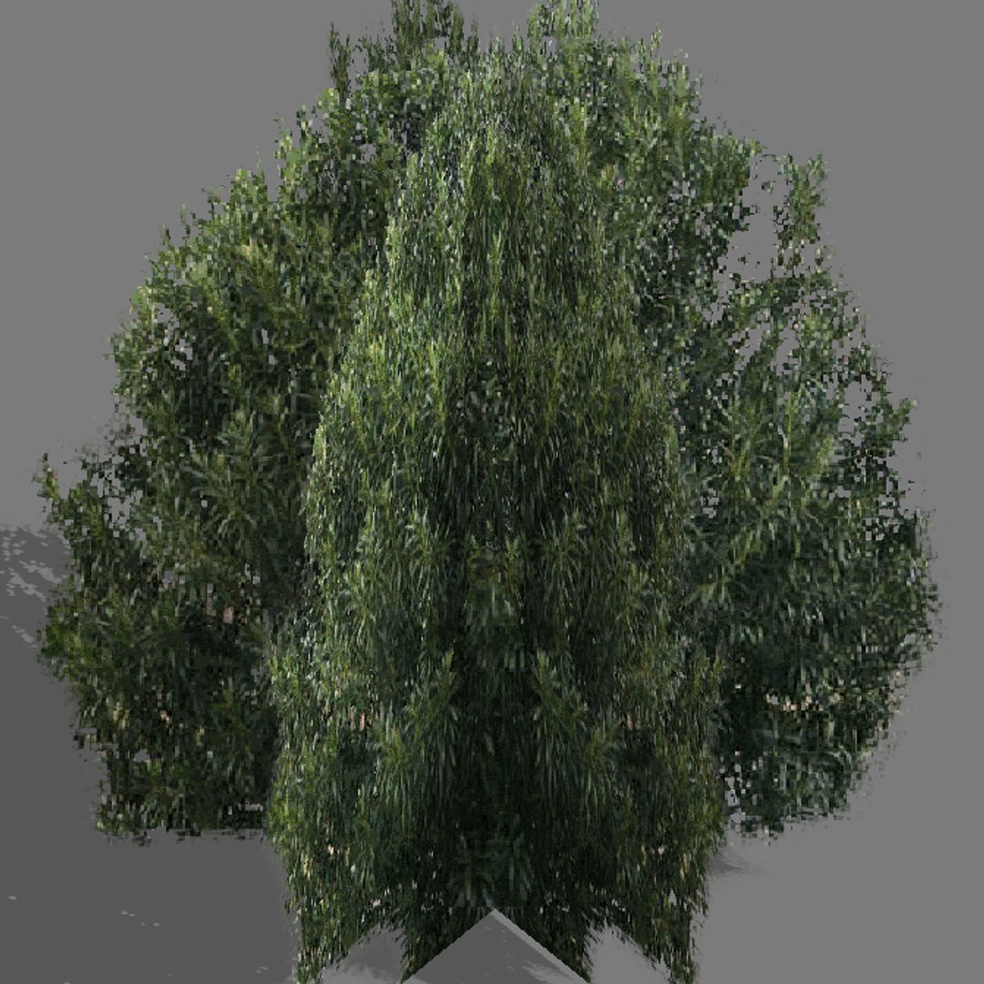 Bushes Polygons 3d 3ds