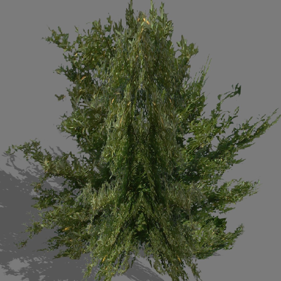Bushes Polygons 3d 3ds