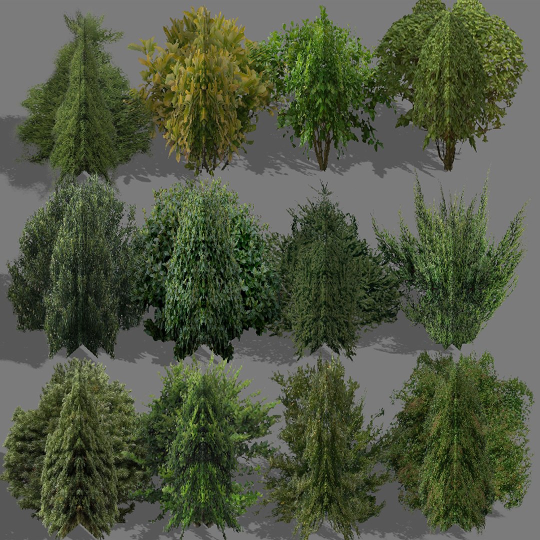 Bushes Polygons 3d 3ds