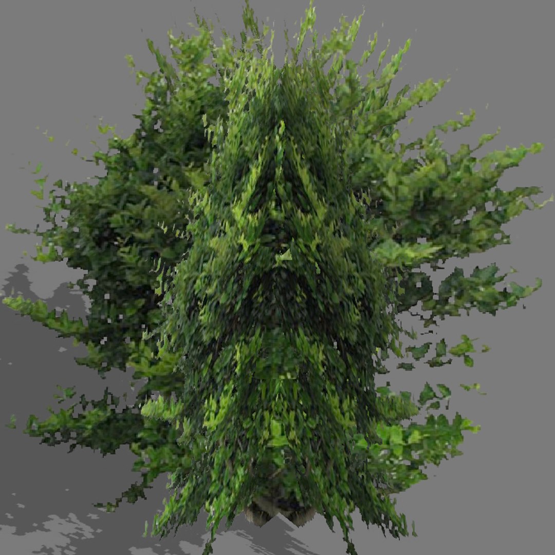 Bushes Polygons 3d 3ds
