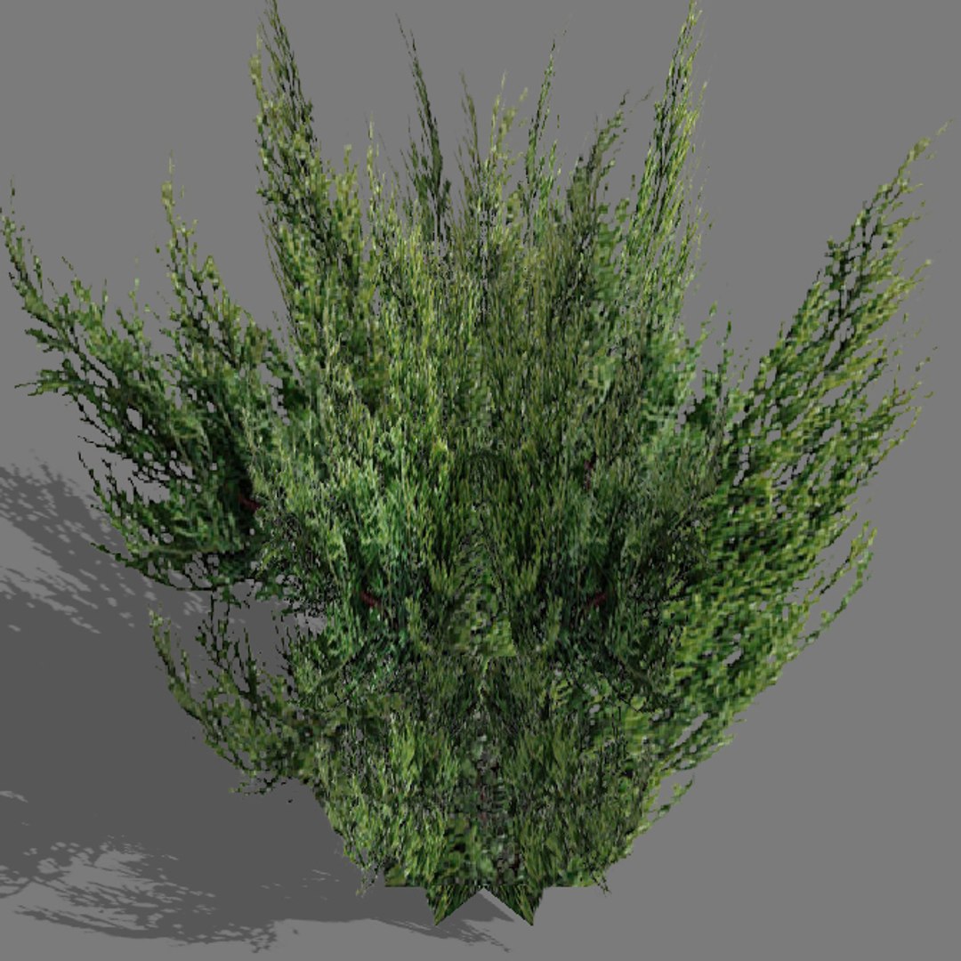Bushes Polygons 3d 3ds
