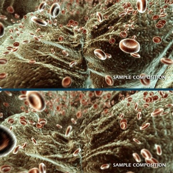 red blood cells animation 3d model