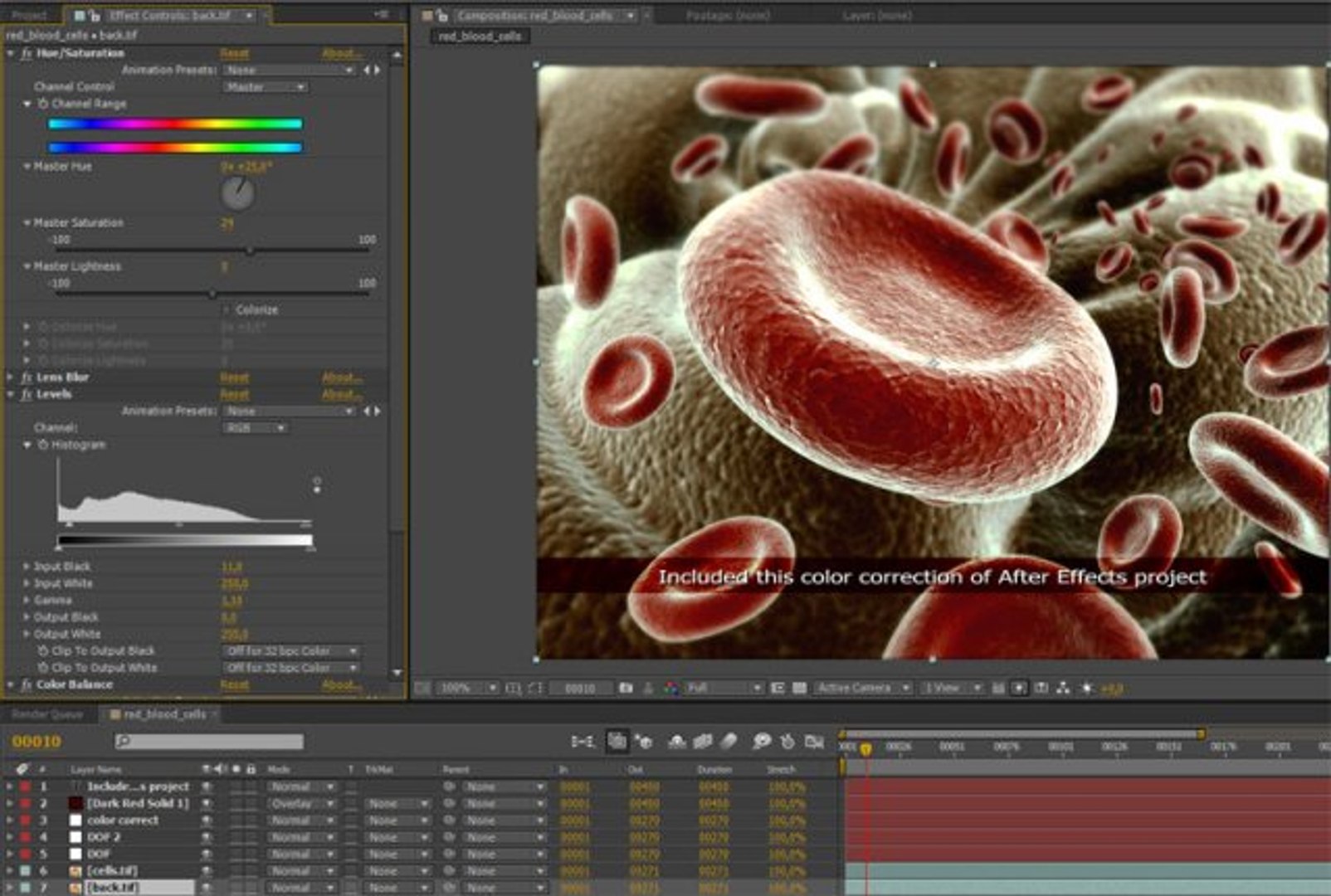 Red Blood Cells Animation 3d Model