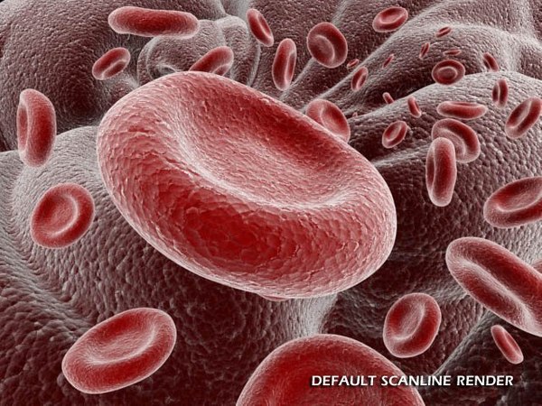 red blood cells animation 3d model