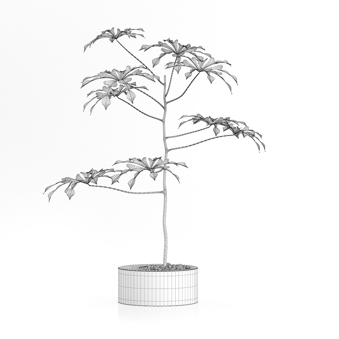 Plant Concrete Pot 3d Model