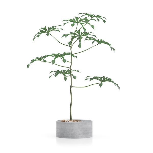 plant concrete pot 3d model