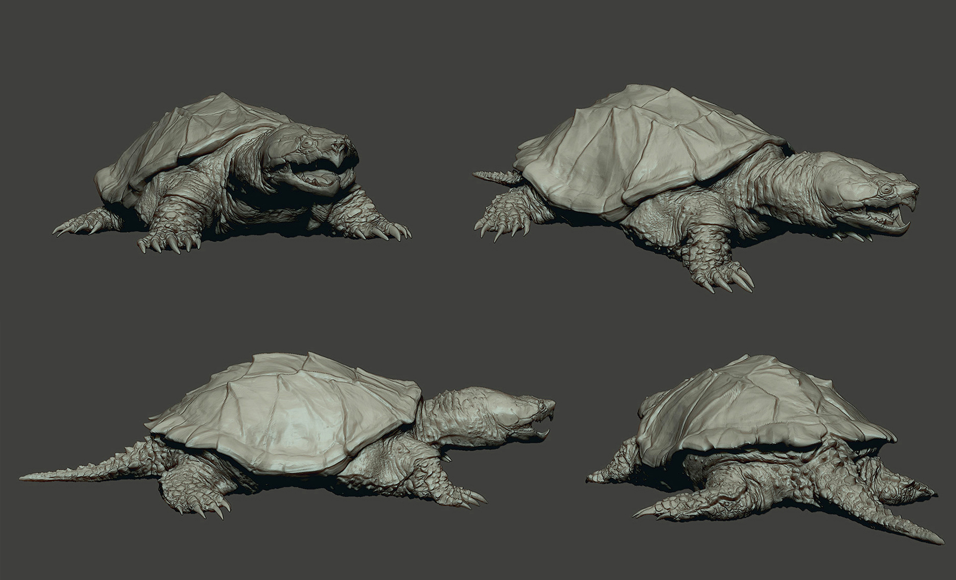 Snapping turtle 3D model - TurboSquid 1685650