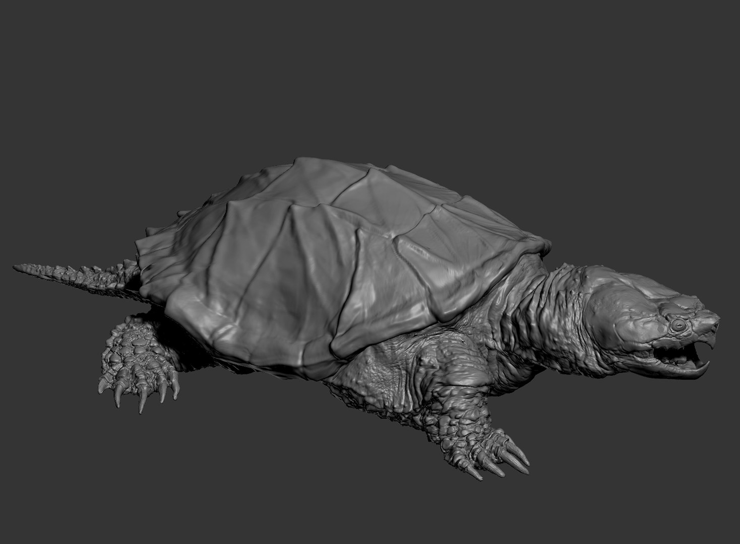 Snapping Turtle 3D Model - TurboSquid 1685650