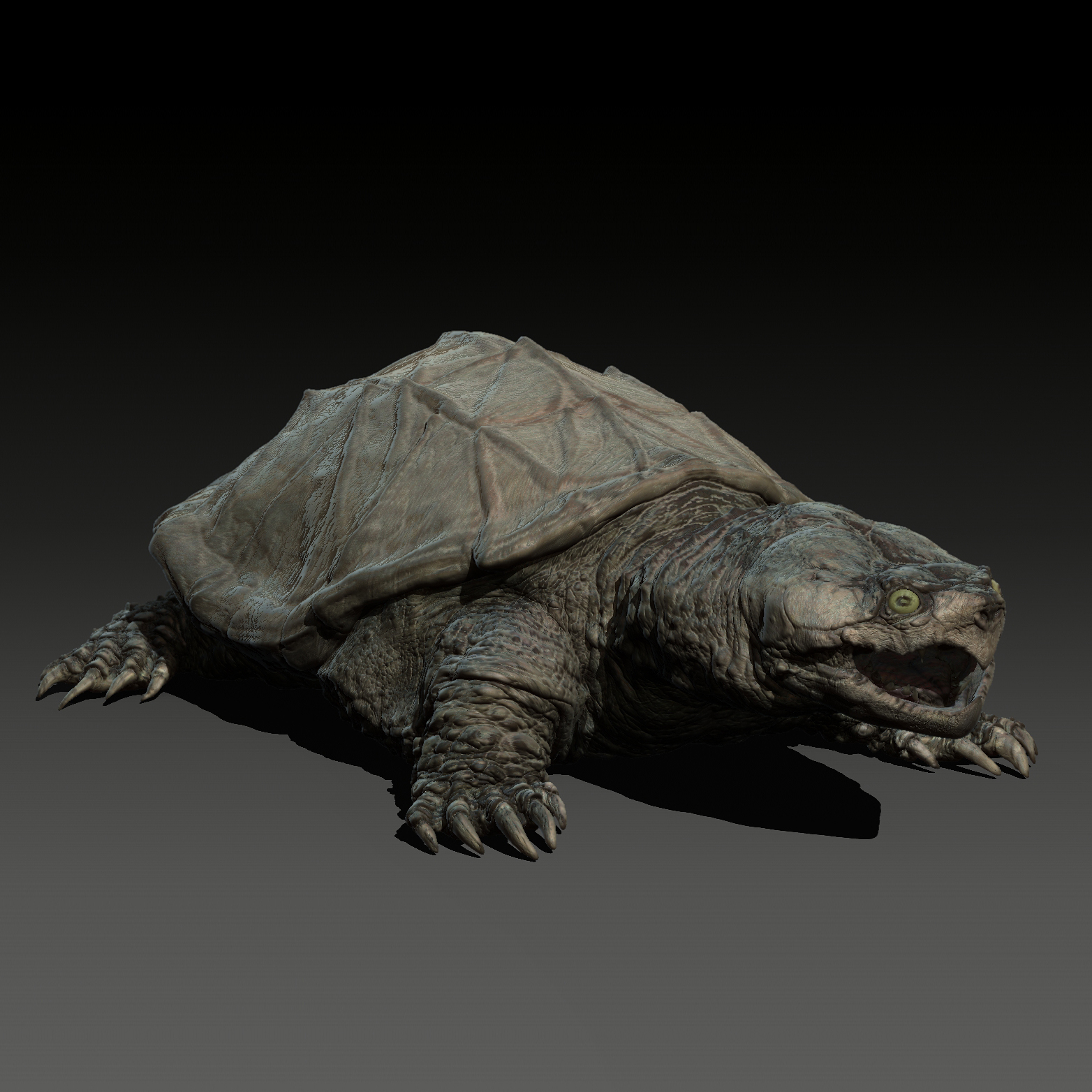 Snapping turtle 3D model - TurboSquid 1685650