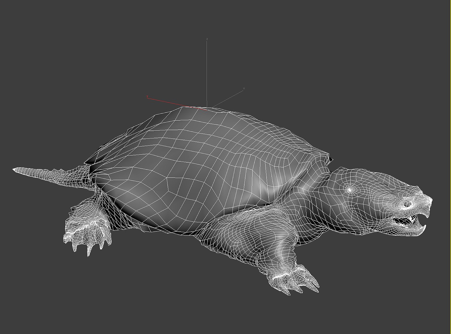 Snapping Turtle 3D Model - TurboSquid 1685650
