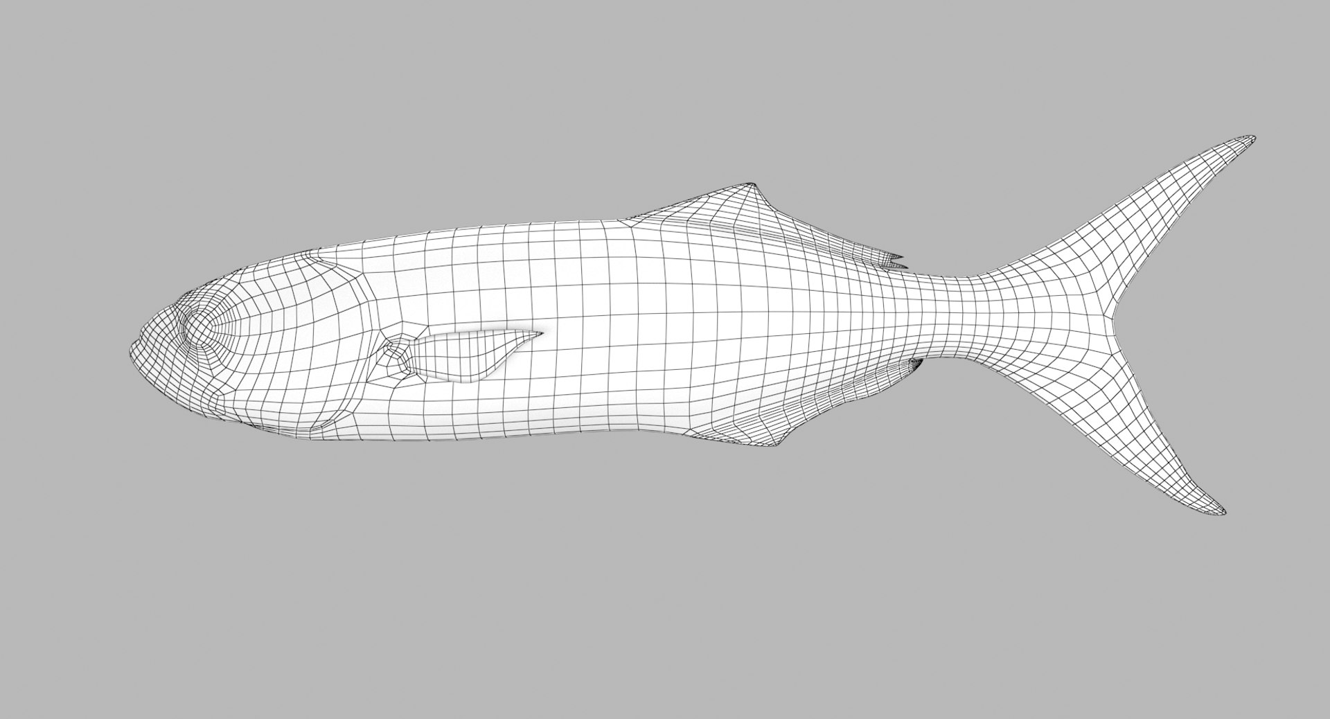 Bluefish Pbr 3D Model - TurboSquid 1291699