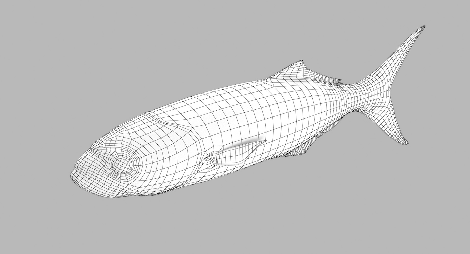 Bluefish Pbr 3D Model - TurboSquid 1291699