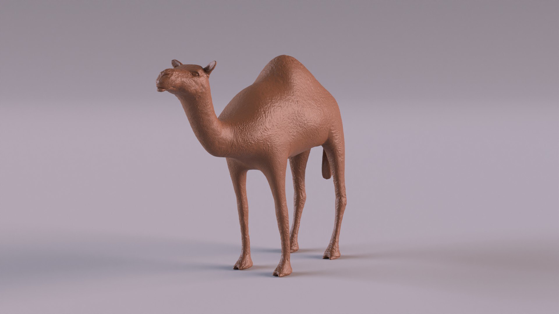 Camel Printable 3D Model - TurboSquid 1990203