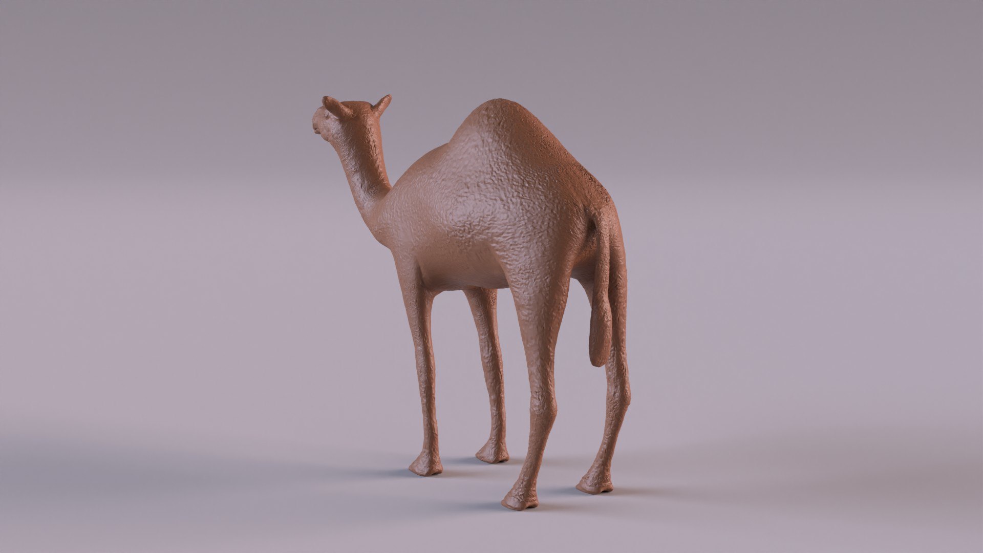 Camel Printable 3D Model - TurboSquid 1990203