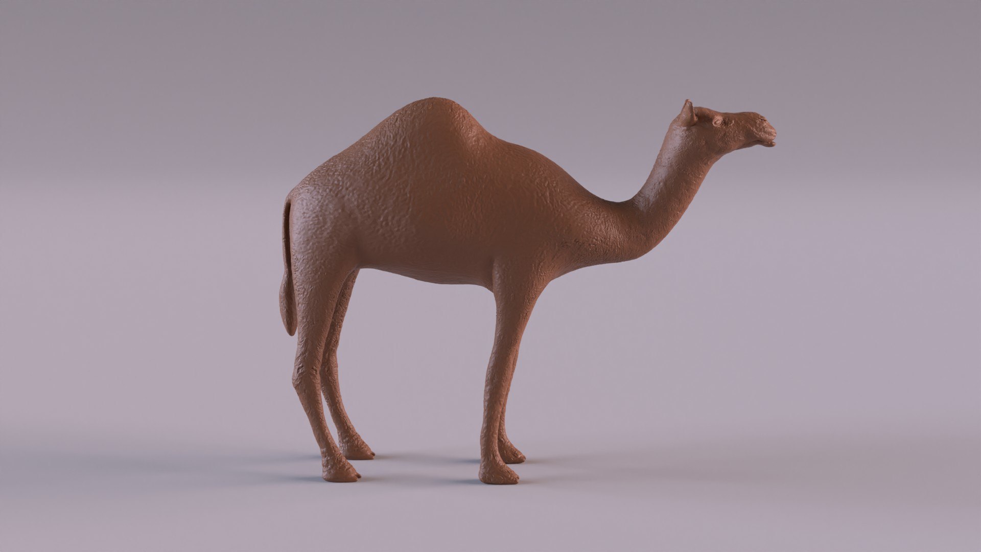 Camel Printable 3D Model - TurboSquid 1990203