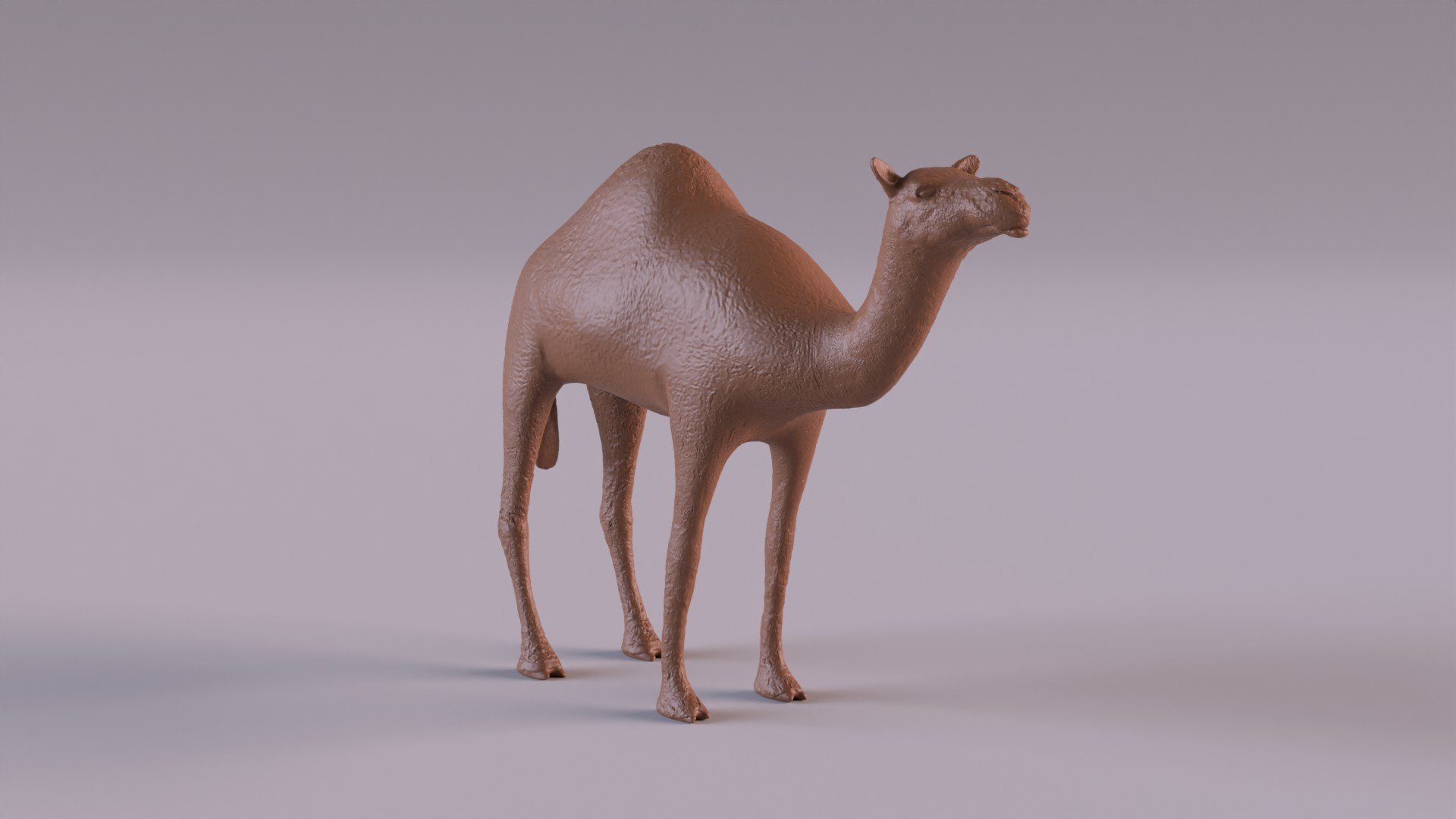 Camel Printable 3D Model - TurboSquid 1990203