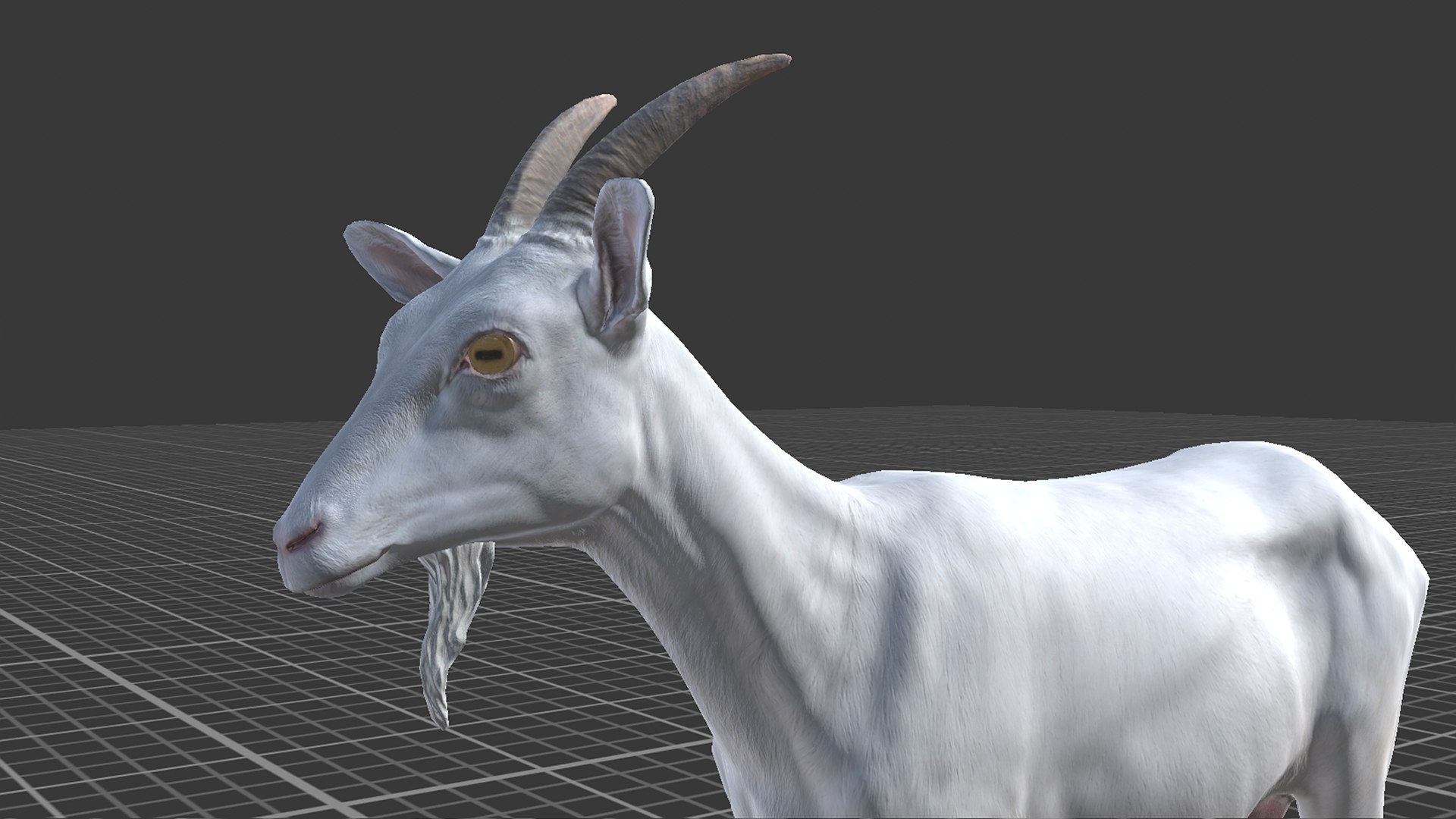 3D Goat Female Model - TurboSquid 1938345