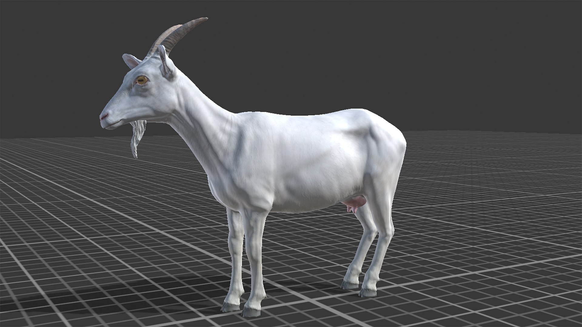 3D Goat Female Model - TurboSquid 1938345