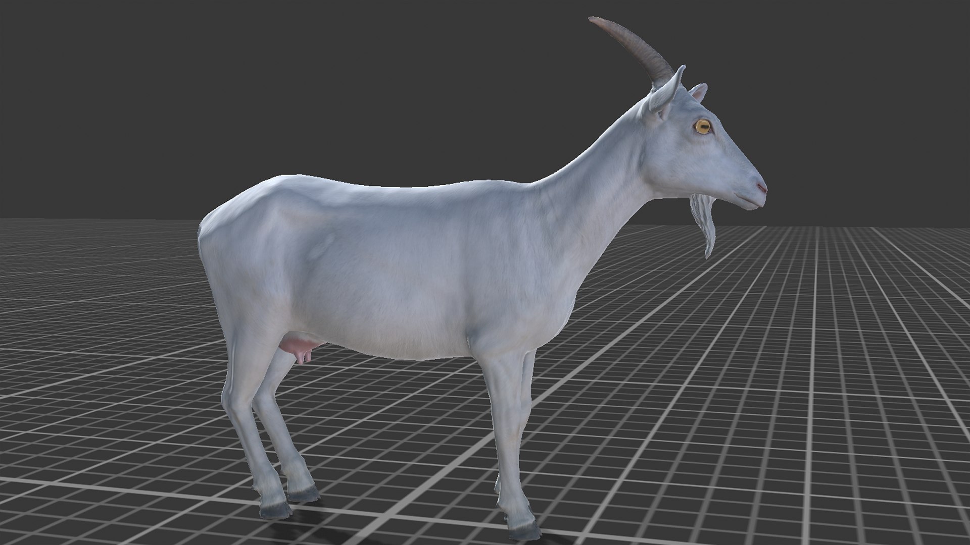 3D Goat Female Model - TurboSquid 1938345