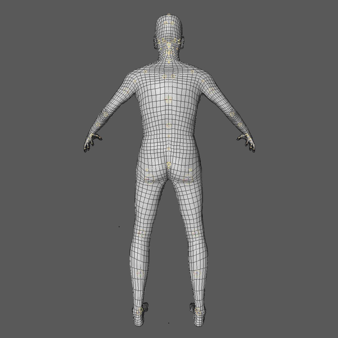 3d Realistic Base Mesh Old