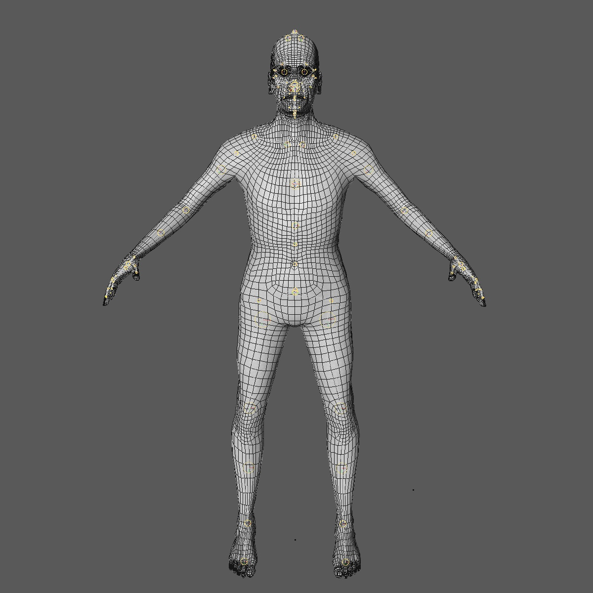 3d realistic base mesh old
