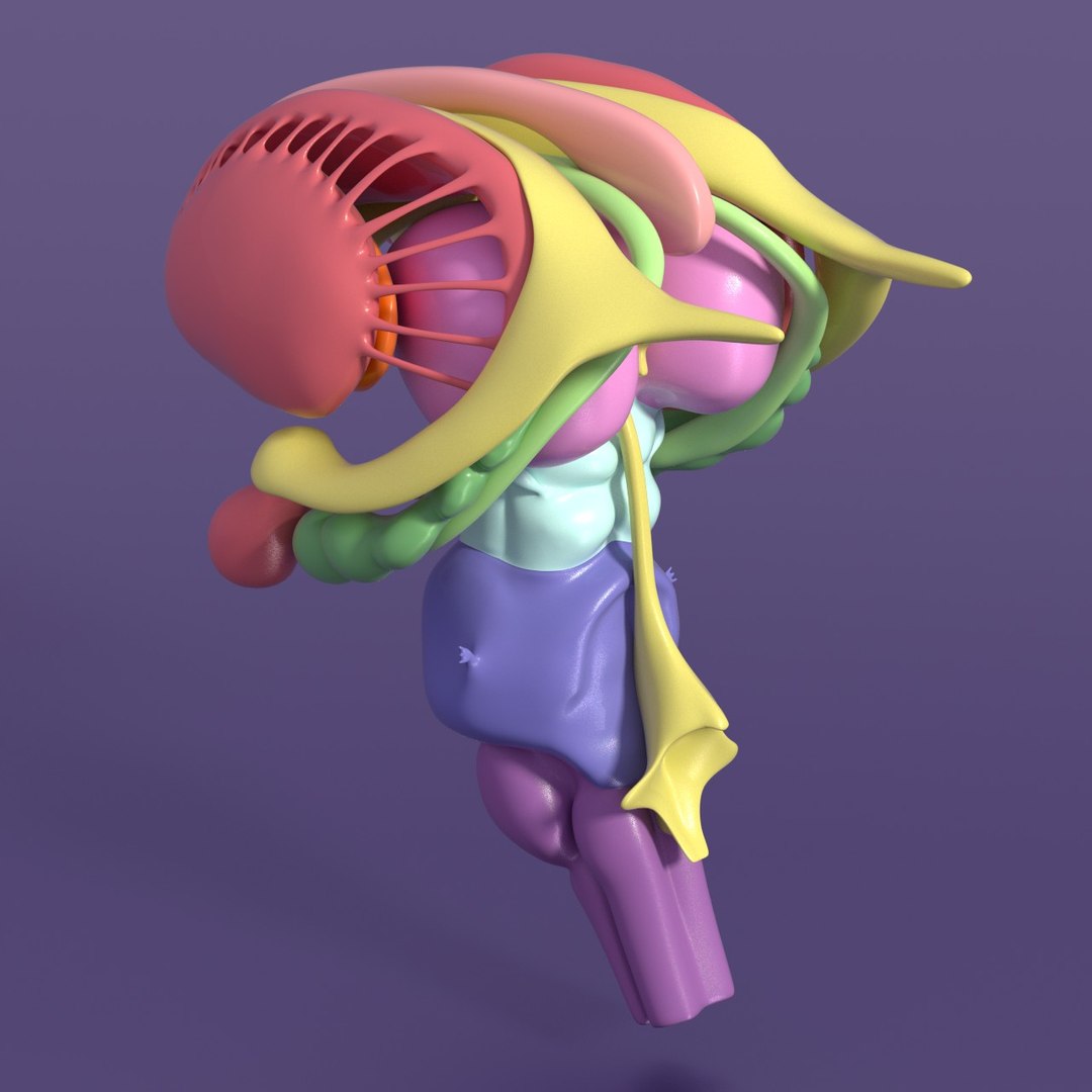 3d Obj Realistic Subcortical Structures Human Brain