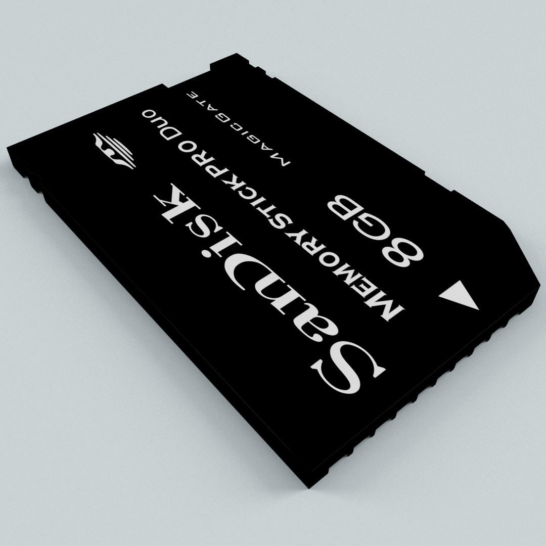 3ds Max Memory Card Ms Pro