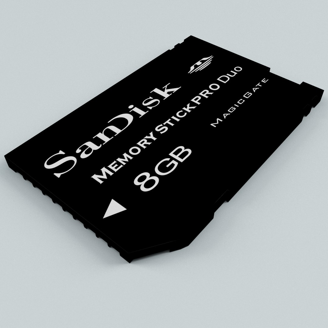 3ds Max Memory Card Ms Pro