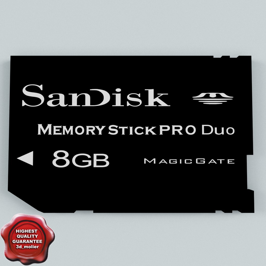 3ds Max Memory Card Ms Pro