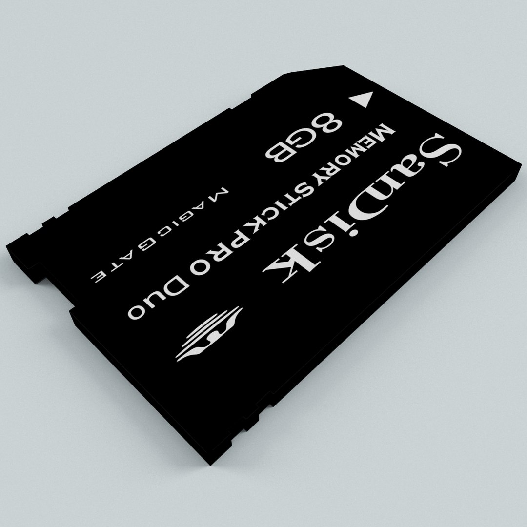 3ds Max Memory Card Ms Pro