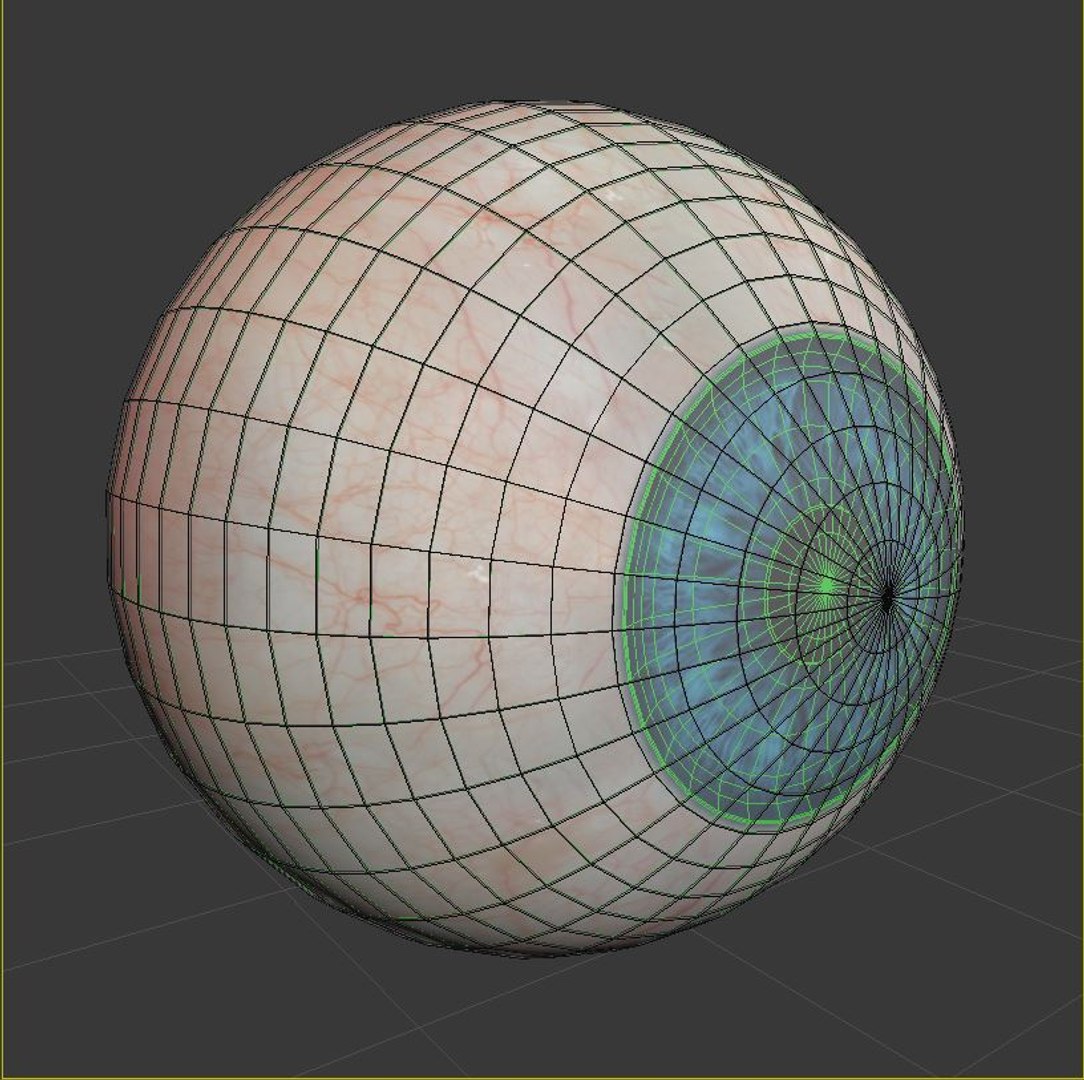human eye 3d model