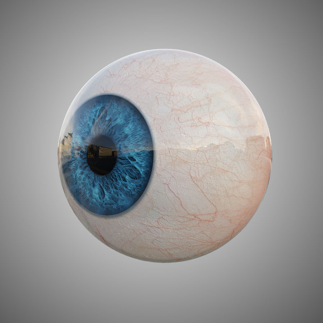 human eye 3d model