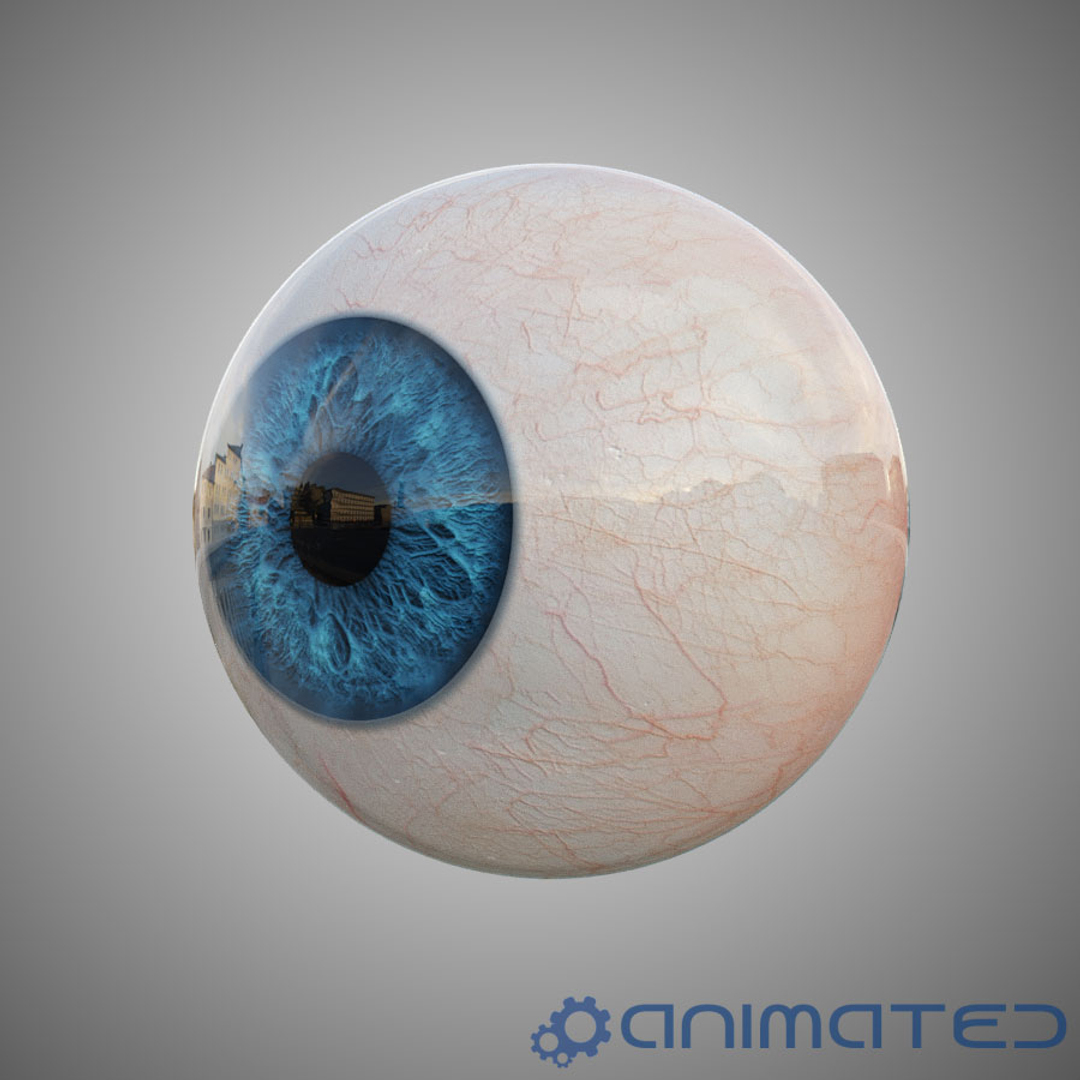 human eye 3d model
