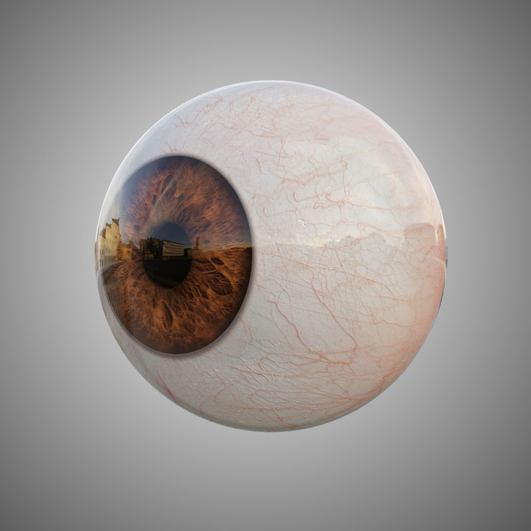 human eye 3d model