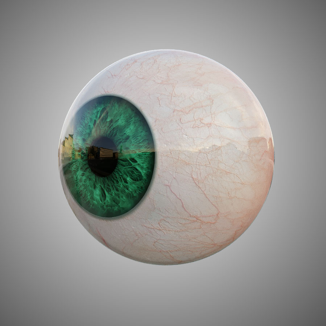 human eye 3d model