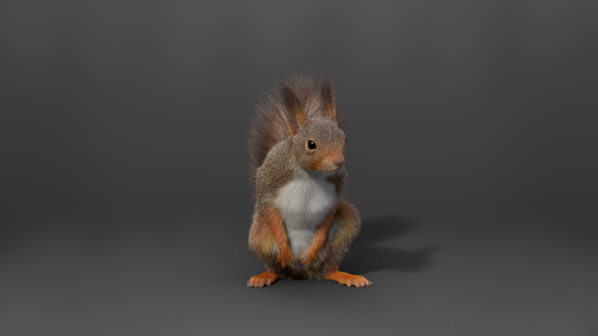 RedSquirrel Winter Animated 3D - TurboSquid 2048858