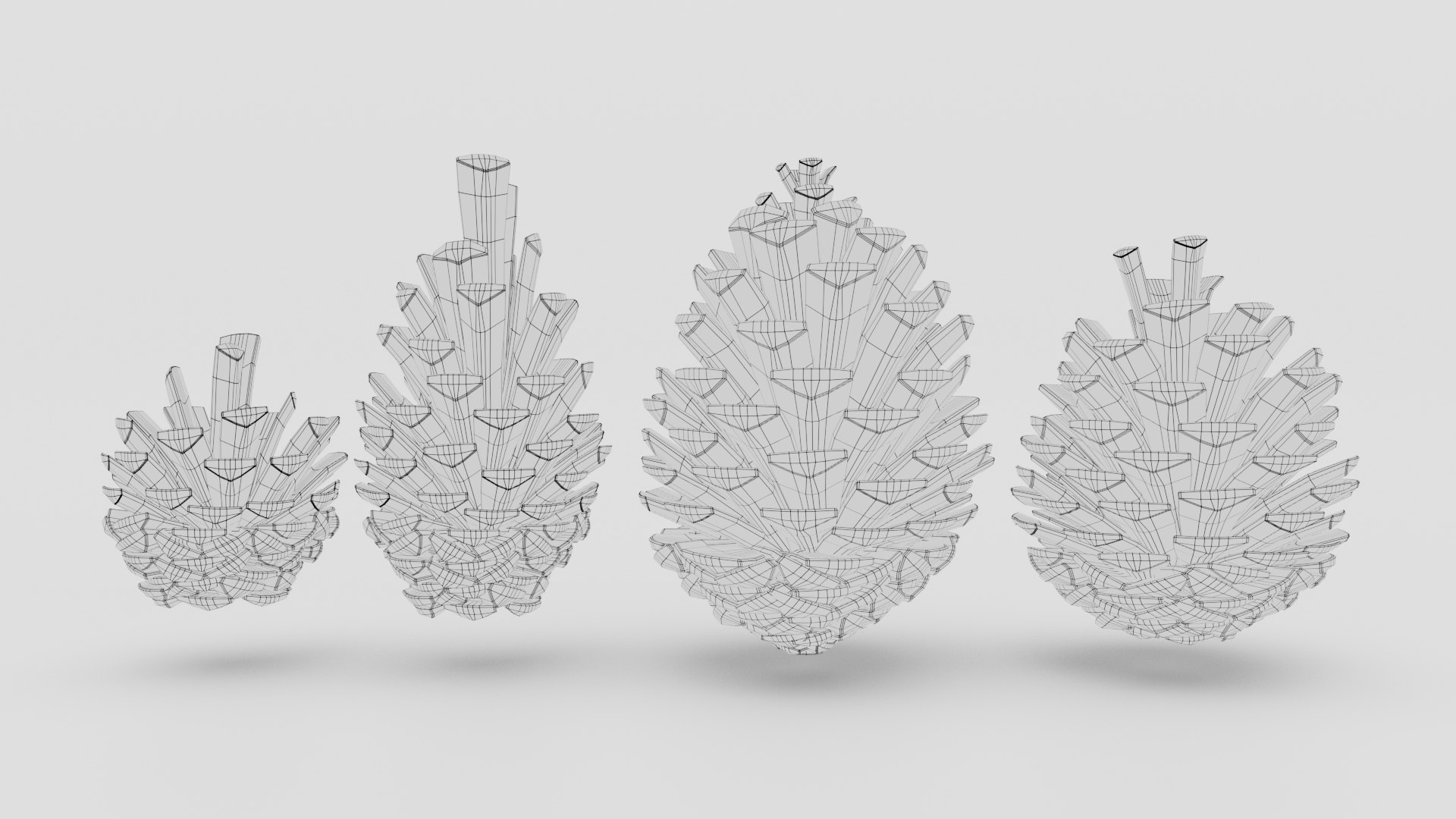 Pine Cone Collection 3D Model - TurboSquid 2149642
