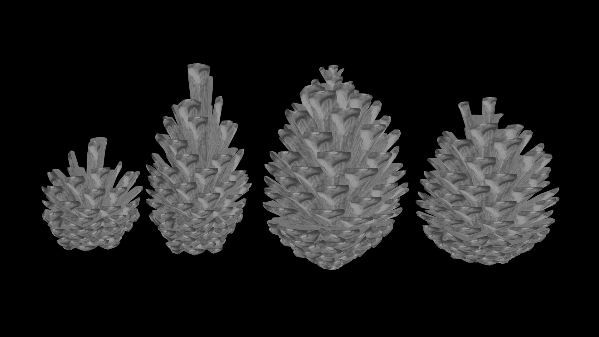 Pine Cone Collection 3D Model - TurboSquid 2149642