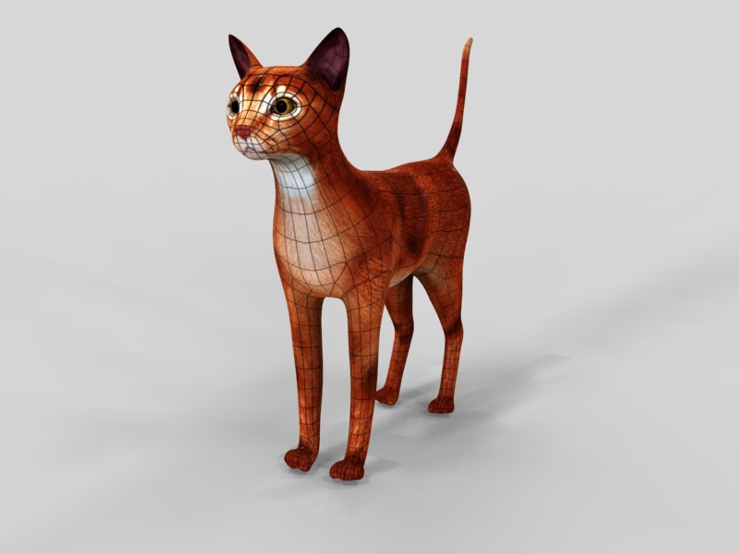 Cats Feline Obj