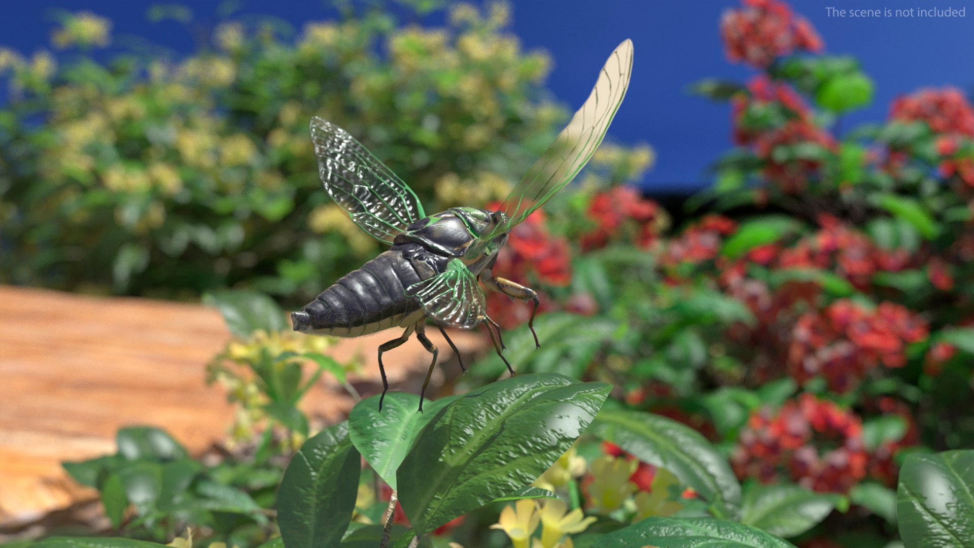 Cicada Fur Rigged 3D model - TurboSquid 2052317