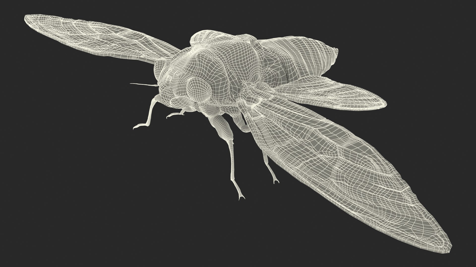 Cicada Fur Rigged 3D Model - TurboSquid 2052317