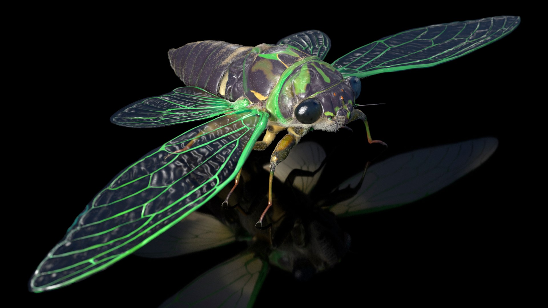Cicada Fur Rigged 3D model - TurboSquid 2052317