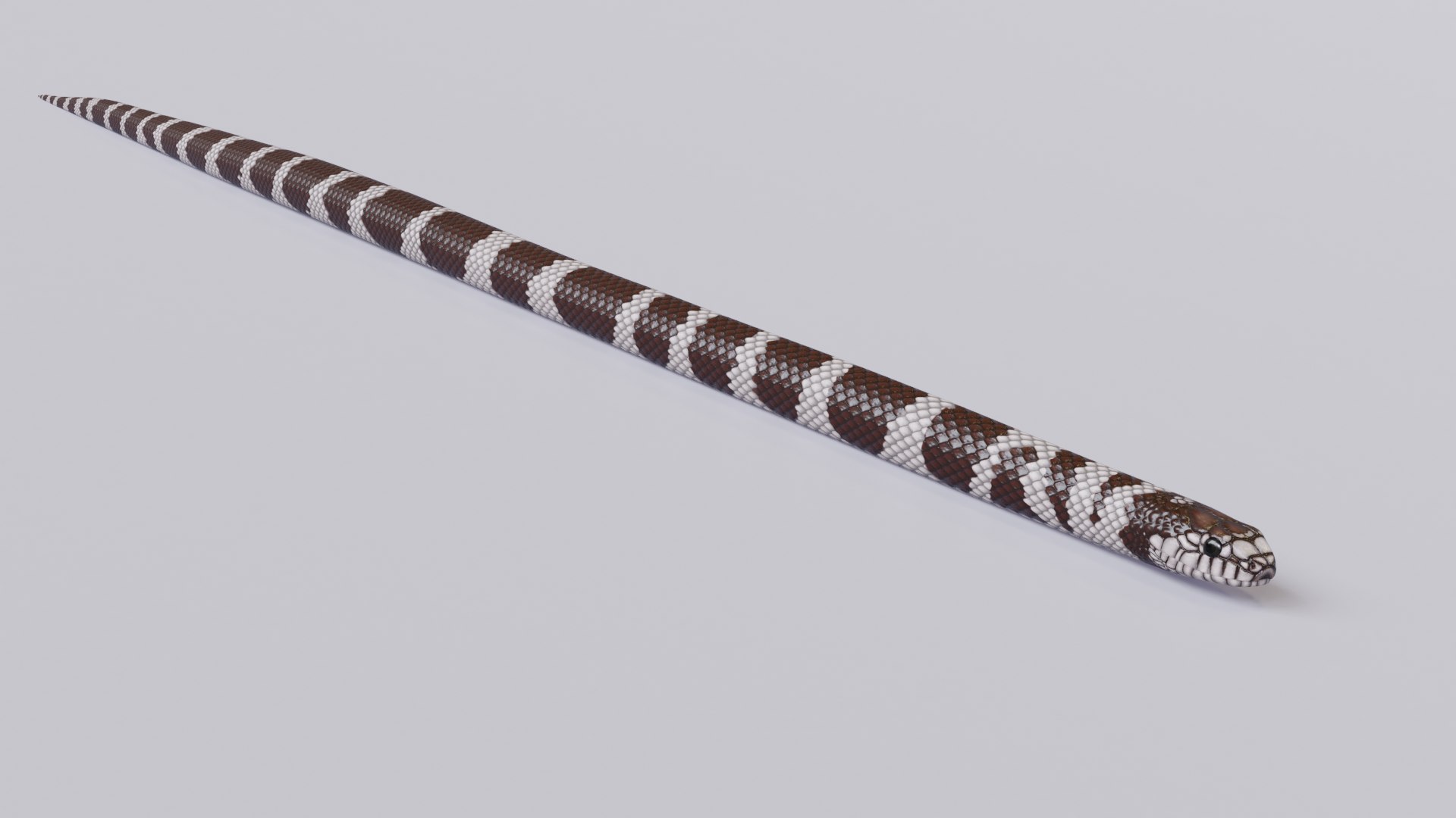 3D Model Snake Reptiles - TurboSquid 1529046