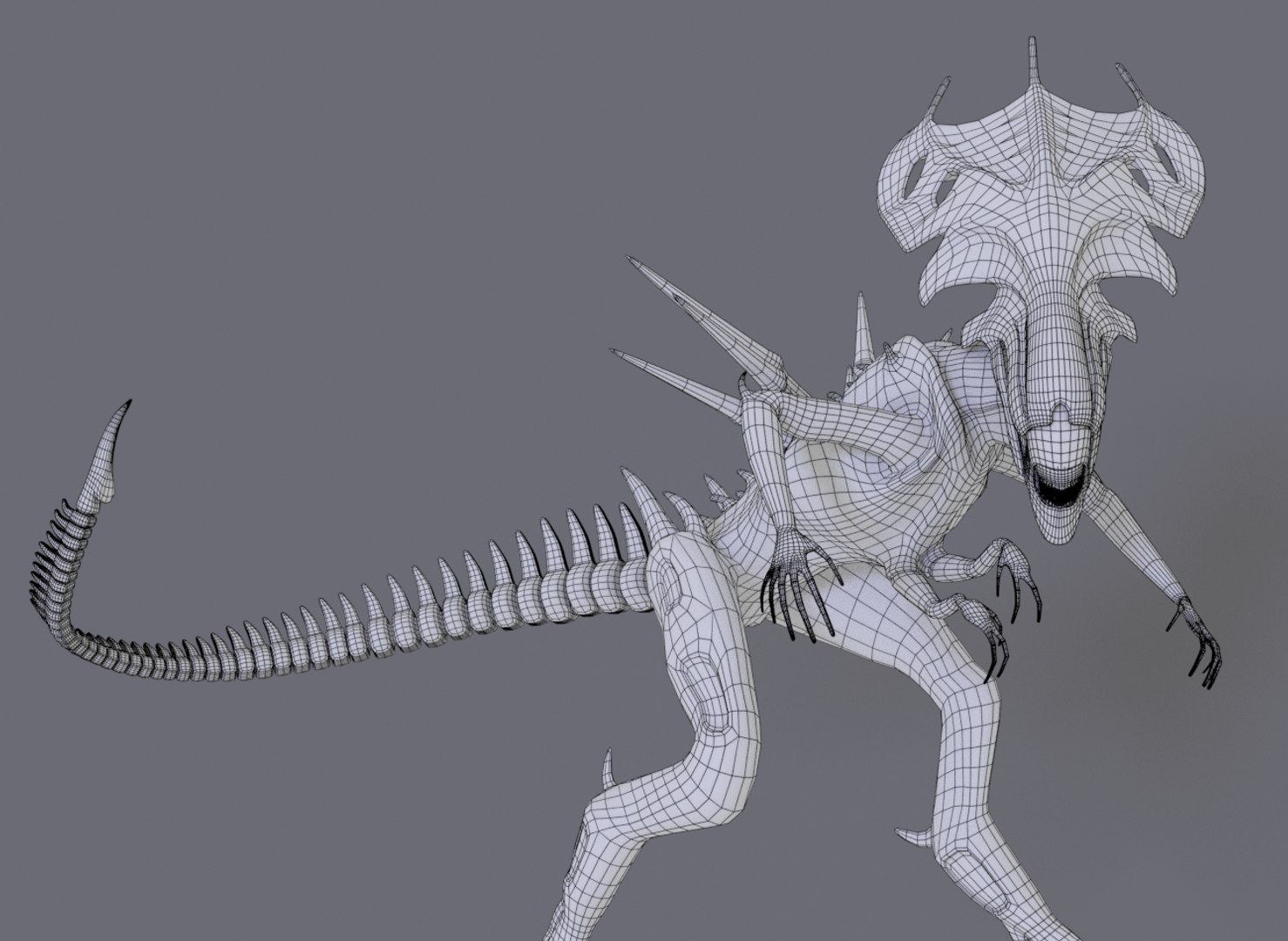 Queen Xenomorph 3d Model