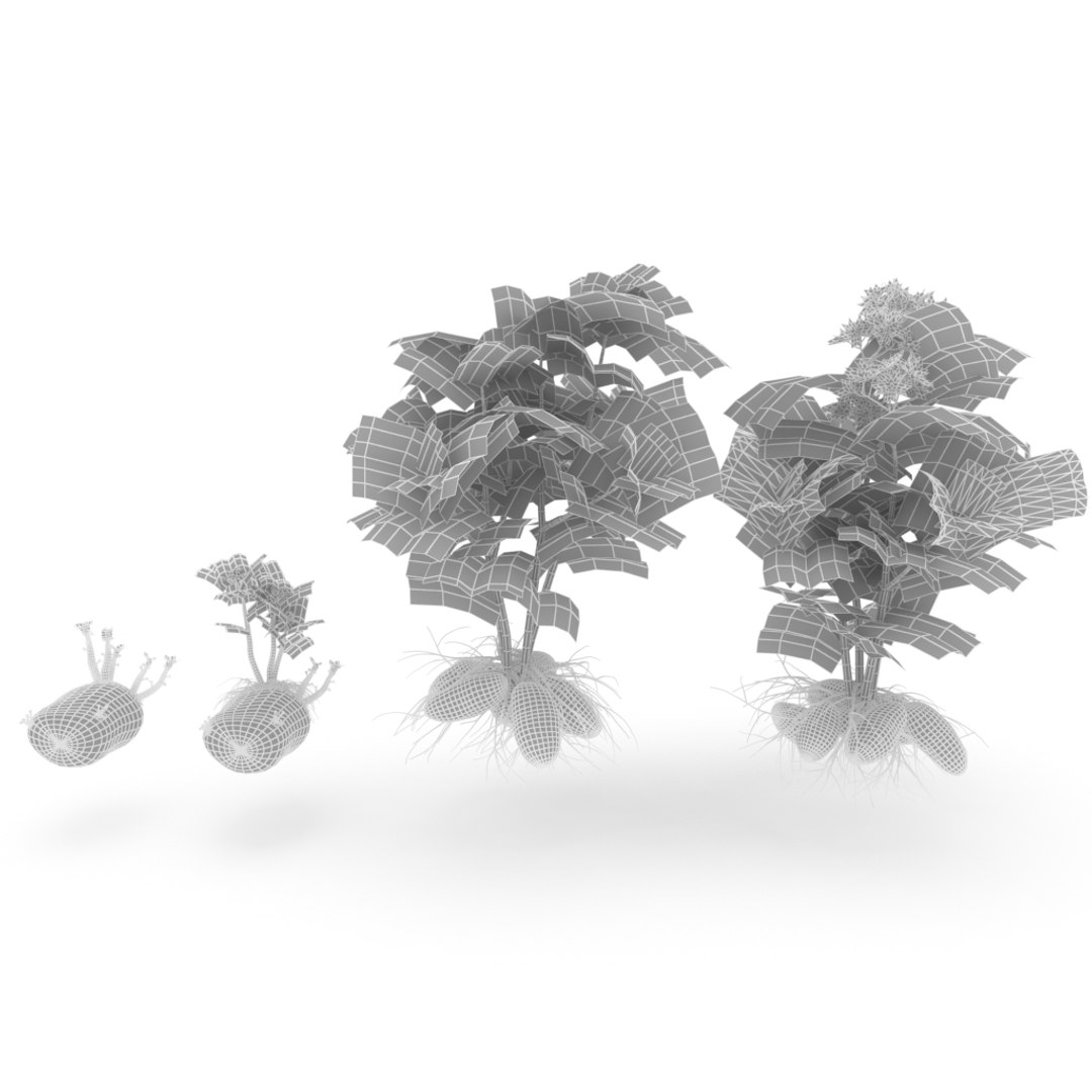 3D Photorealistic Potato Tuber Set - TurboSquid 1501101