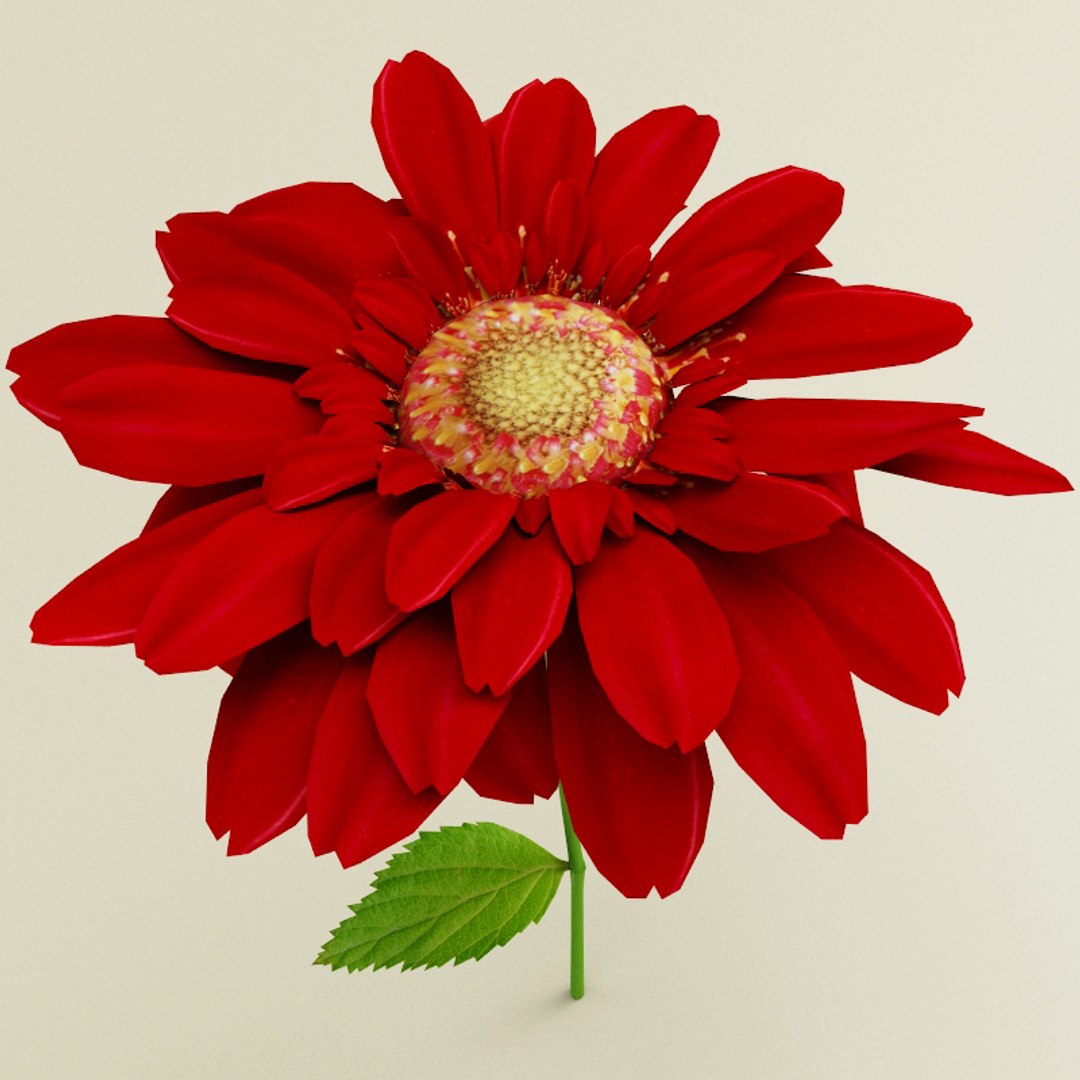 Gerbera Modelled 3d Model