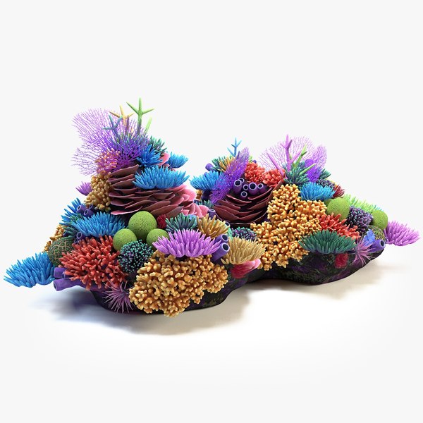Cerianthus coral model - TurboSquid 1478673